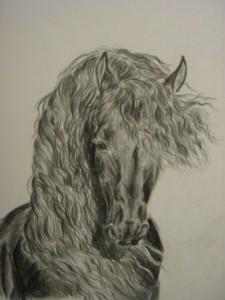 ...věnováno koním-nejkrásnějším zvířatům.... - kreslené obrázky ...